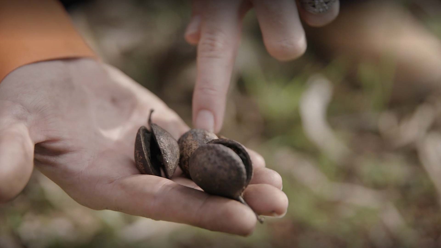 Sowing seeds for stronger rehabilitation | Global