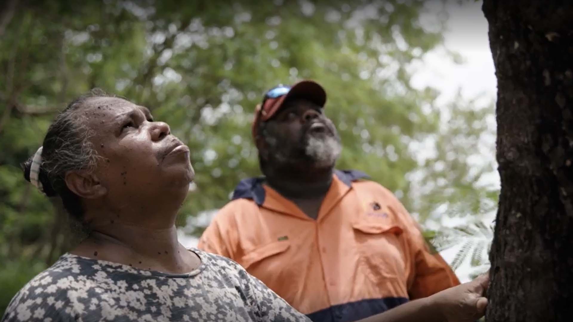 Sowing seeds for stronger rehabilitation | Global