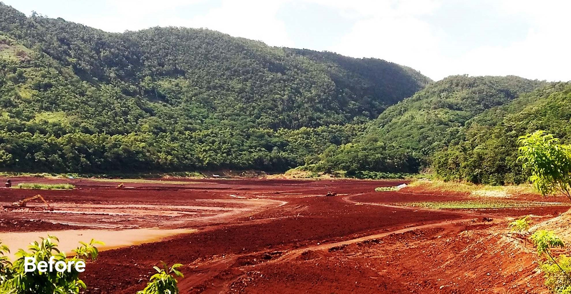 The slow journey from red mud to green plants | Global