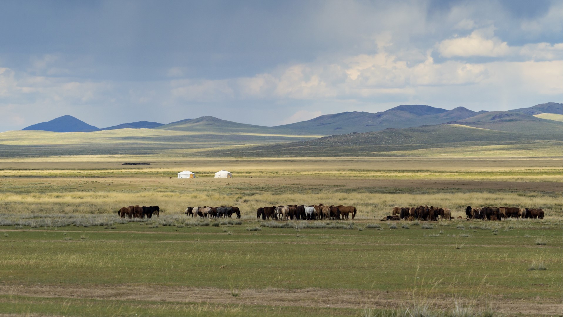 News | Mongolia